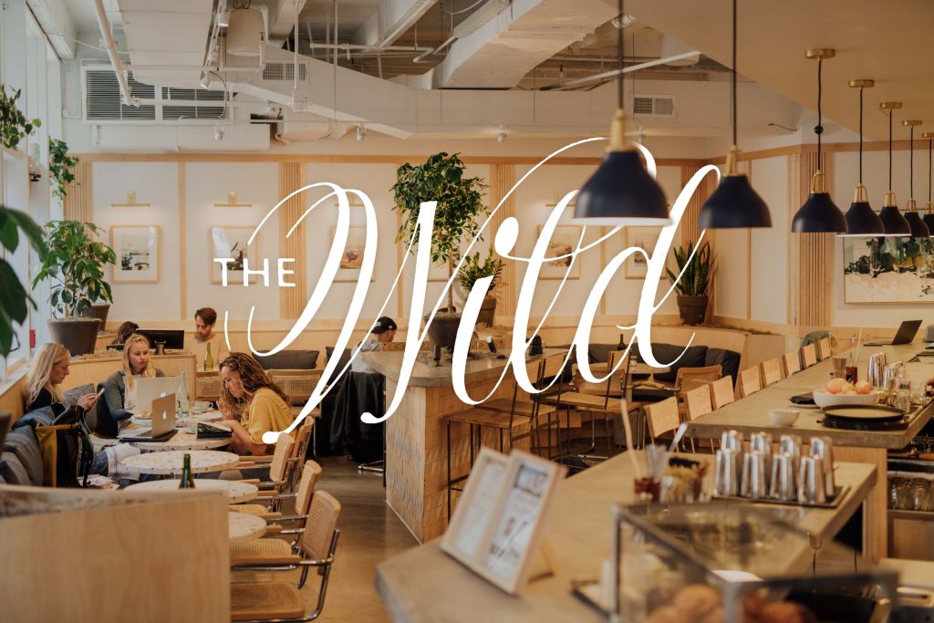 The Curious Case of Cursive – PRINT Magazine