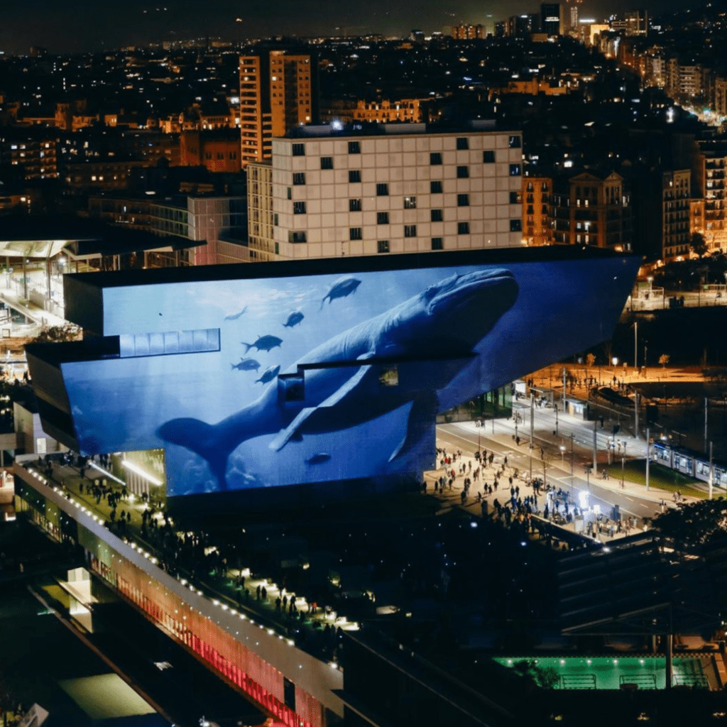 OFFF Celebrates 25 Years with an Ambitious Lineup & Large-Scale Digital ...