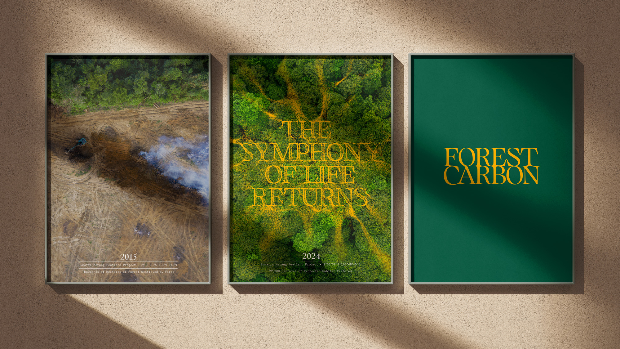 Forest Carbon’s Purposeful Rebrand Visualizes the Sounds of Eco ...